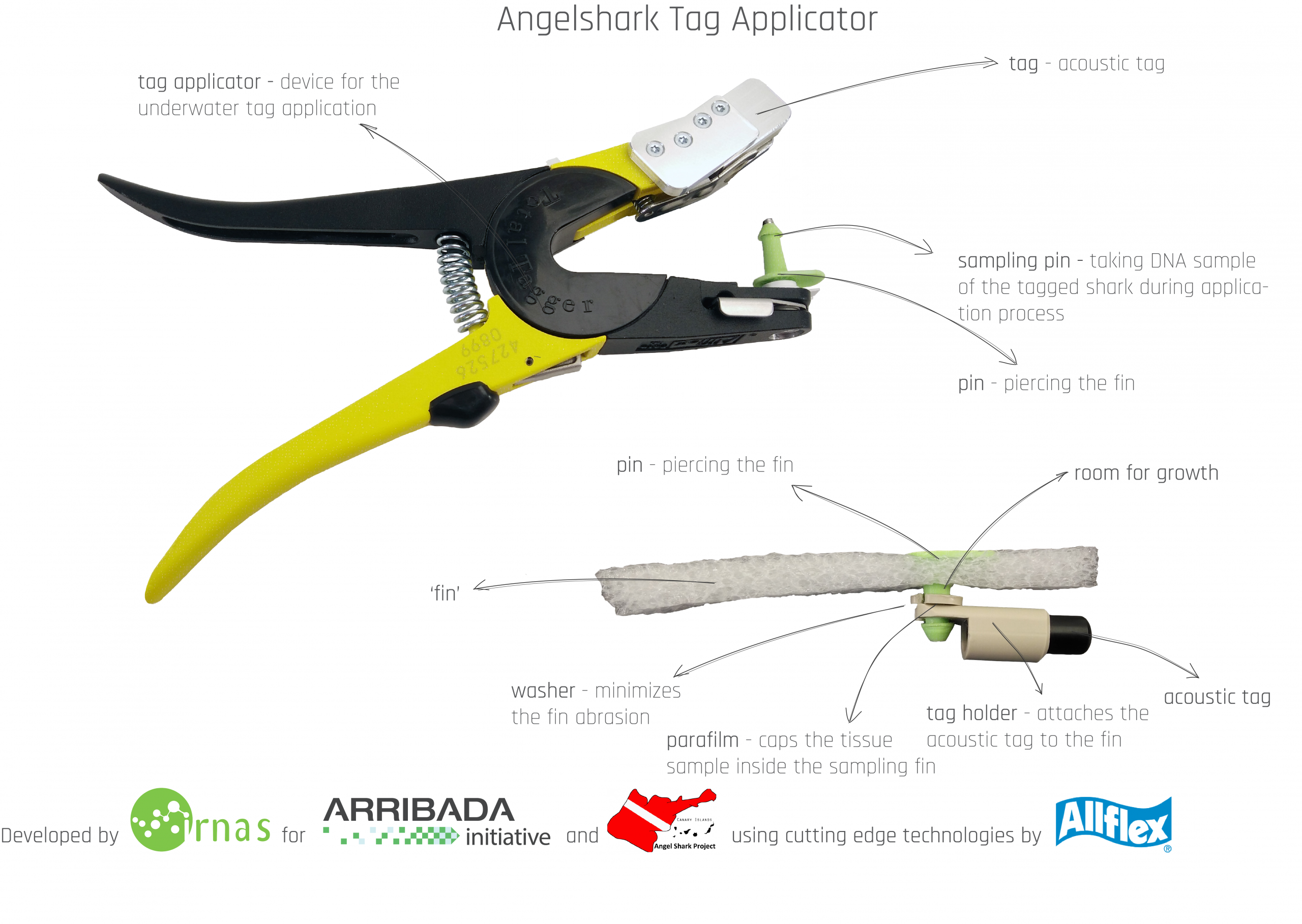 Angelshark Acoustic Tag pritrditev - Irnas
